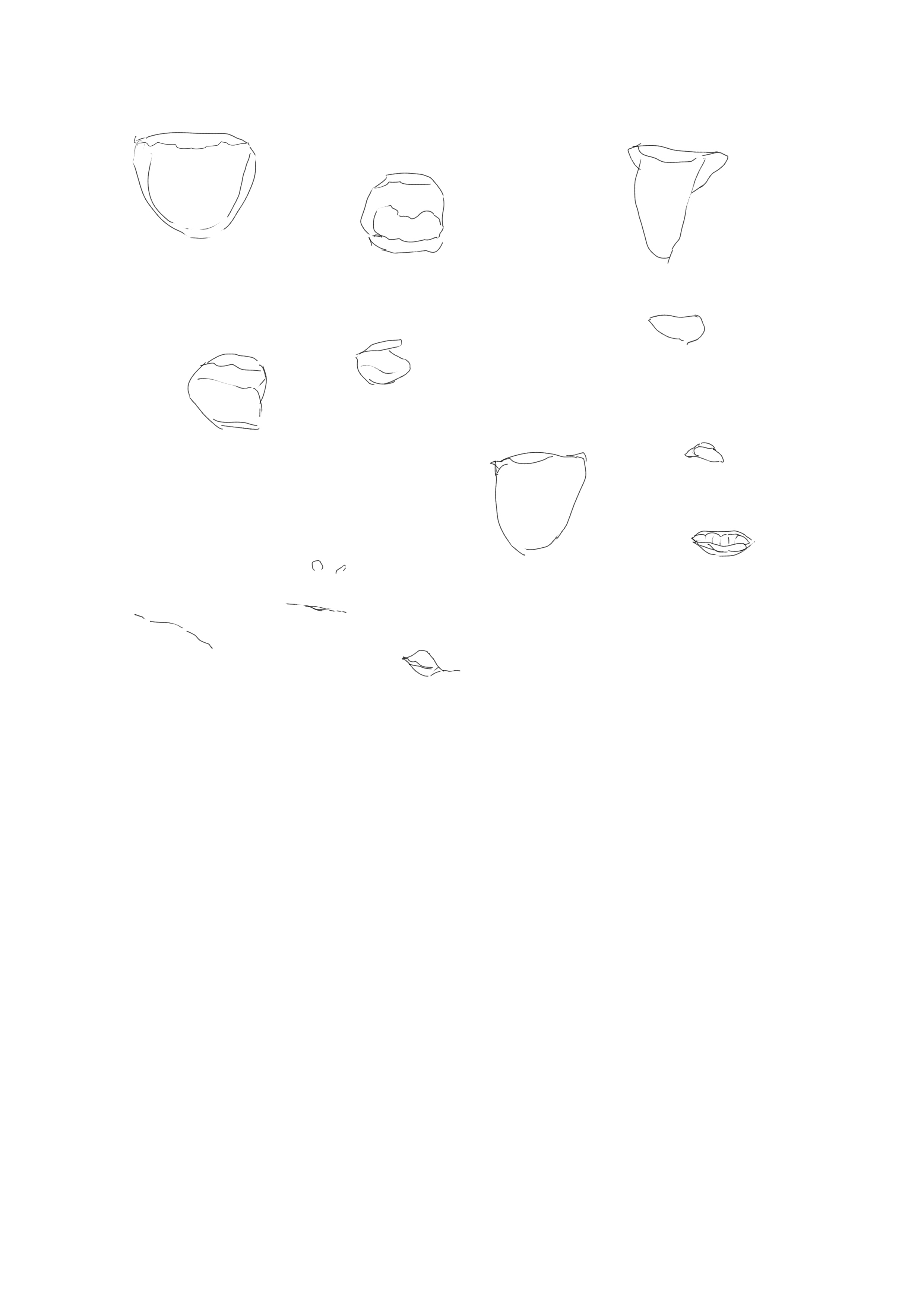 練習 - a3812492的創作 - 巴哈姆特