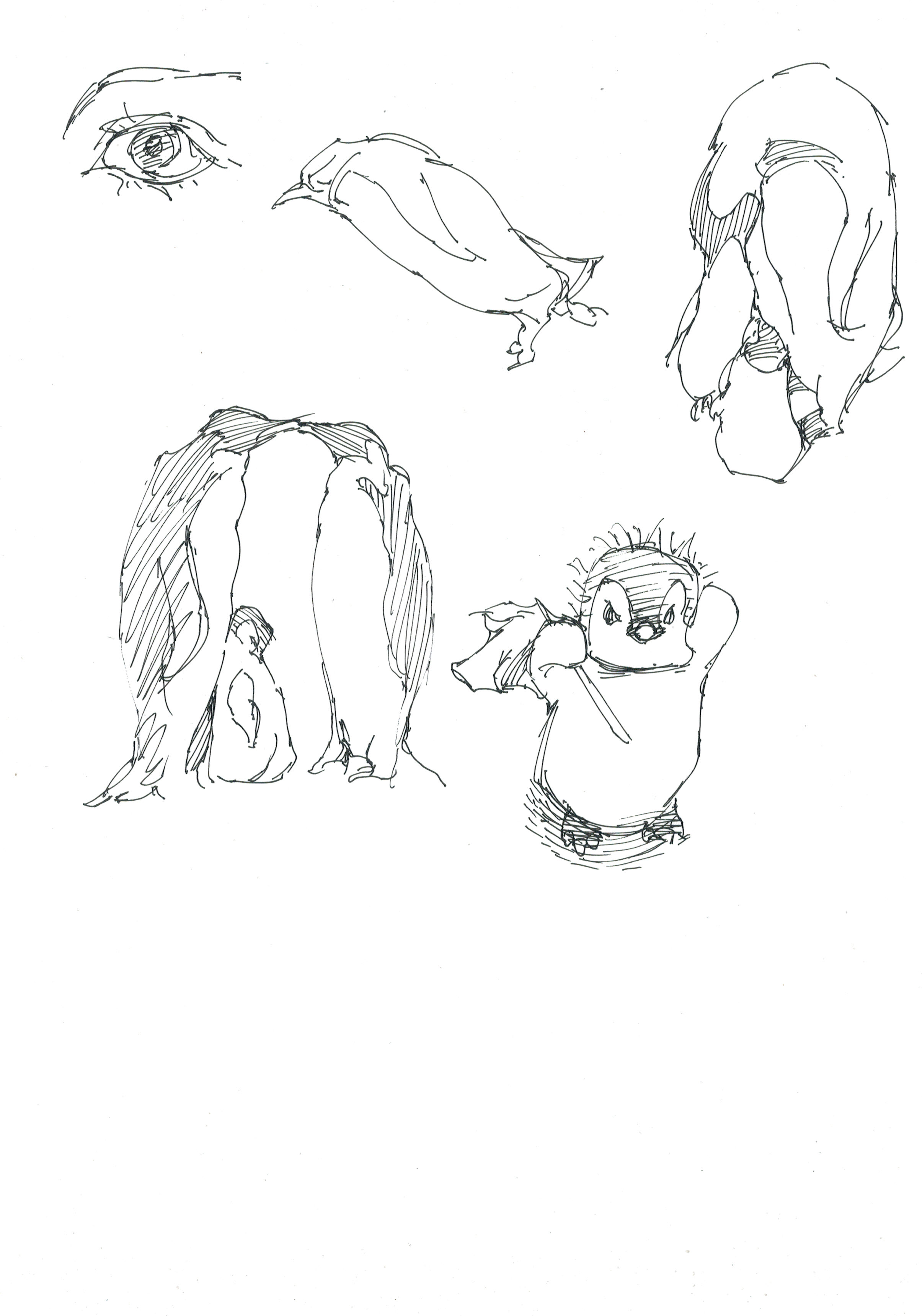 third practice - a3812492的創作 - 巴哈姆特