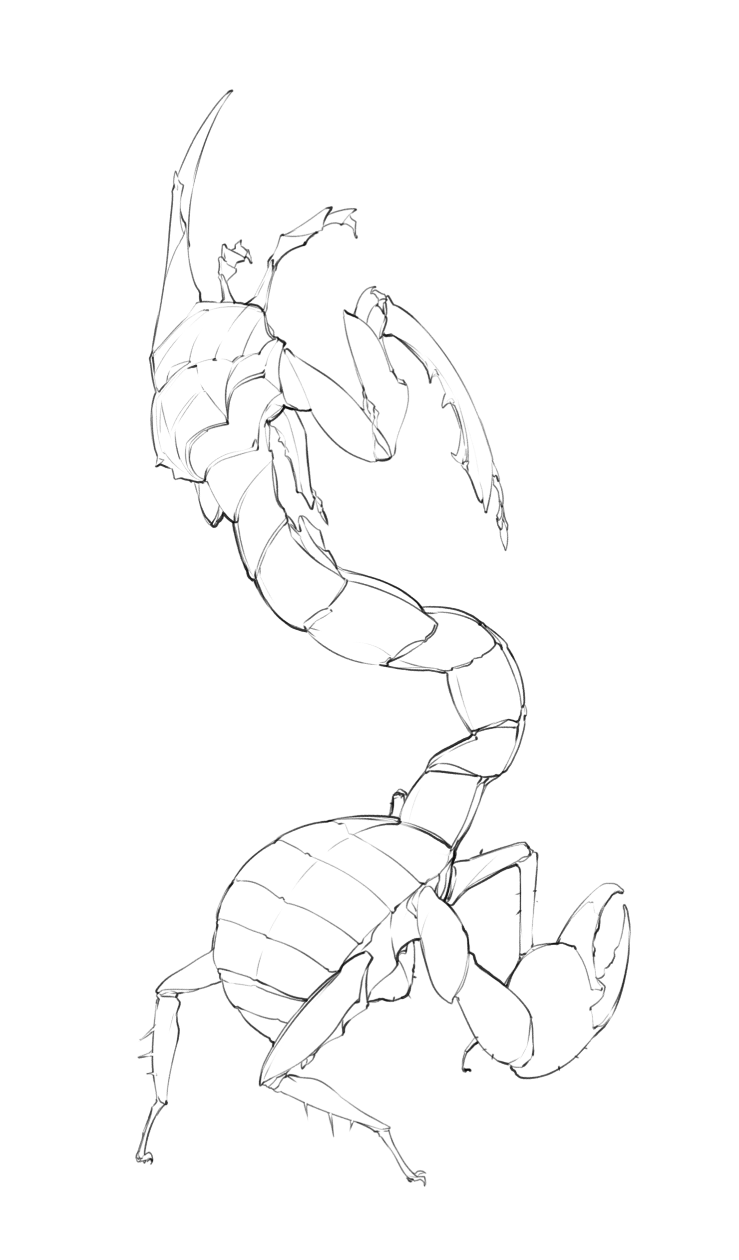 線_03 - aptompoon的創作 - 巴哈姆特