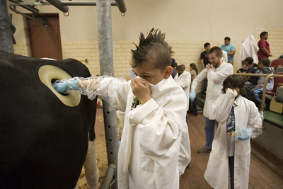 【情報】Fistulated cows醫學研究的牛 (有點噁) 原創 @世界之不可思議 哈啦板 - 巴哈姆特