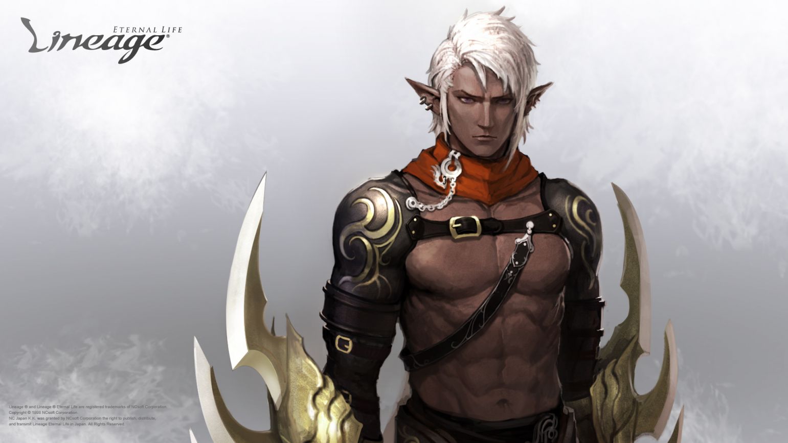 【閒聊】在日版官網新出的新紀念桌布(新增女龍騎士) @天堂Lineage 哈啦板 - 巴哈姆特