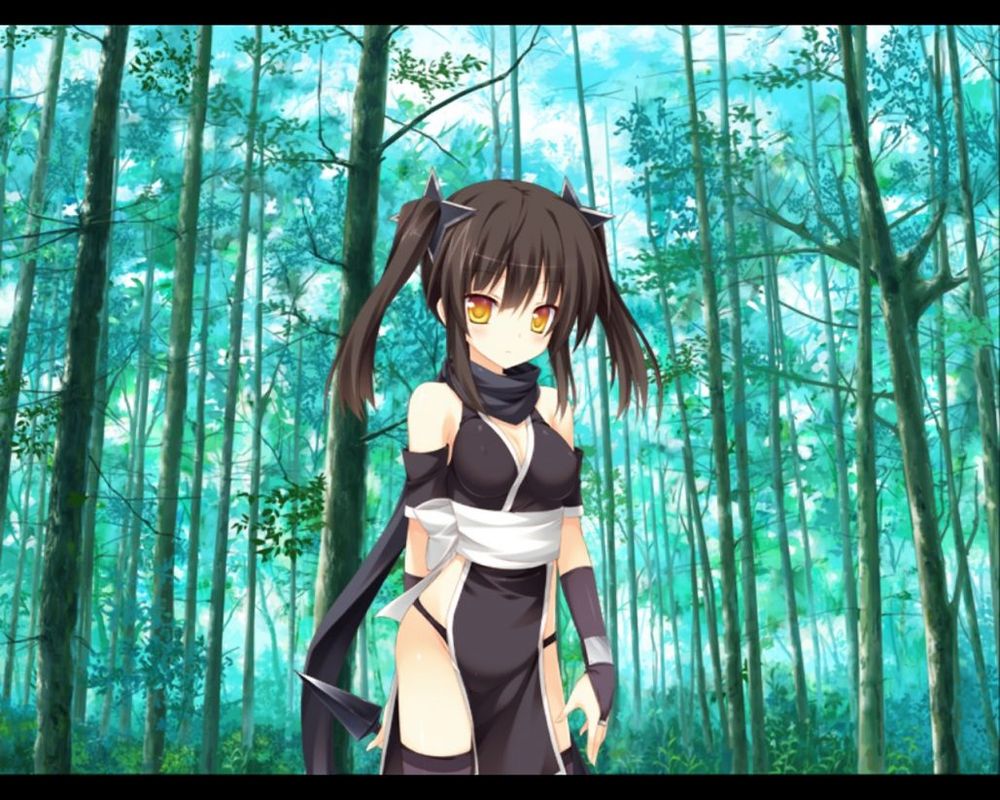 猟域 獵域 softhouse-seal 文字遊戲 心得 - t38567749的創作 - 巴哈姆特