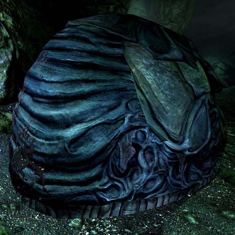 Chitin 現實&Skyrim - stu4564的創作 - 巴哈姆特