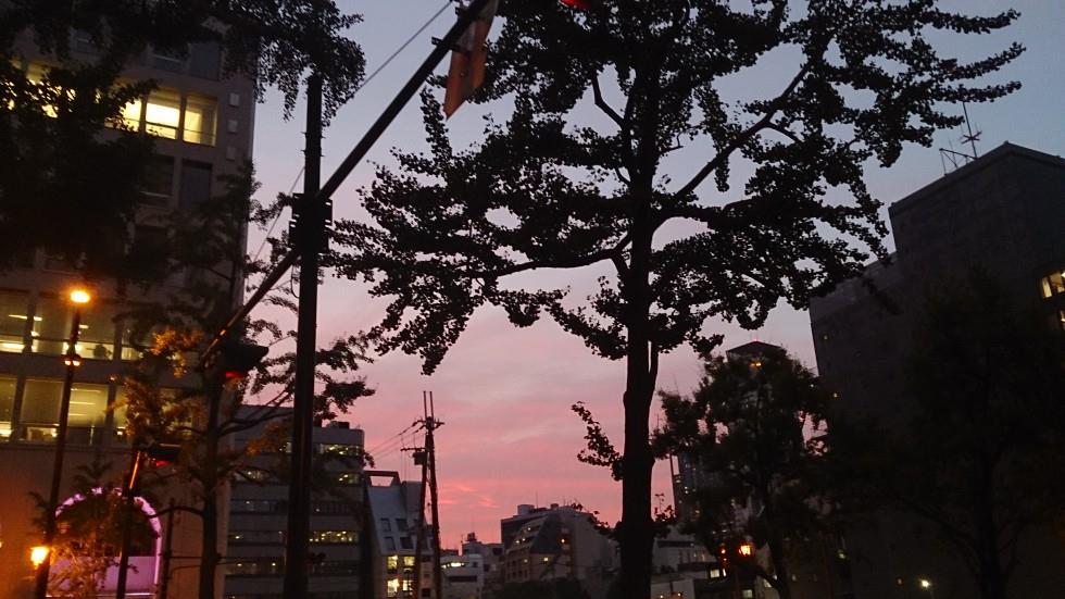 =旅日=Absolute Terror Field（A.T Field） - worm91215的創作 - 巴哈姆特