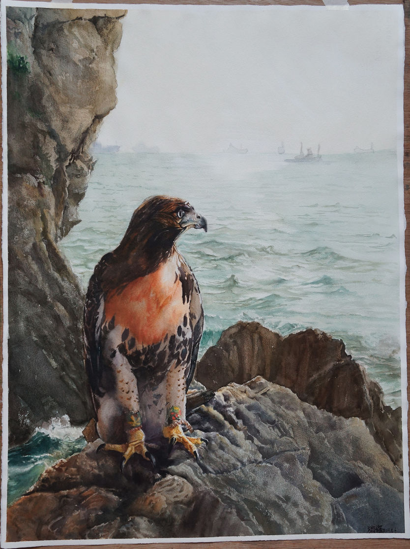 《眺望遠方》 - gay7930159的創作 - 巴哈姆特