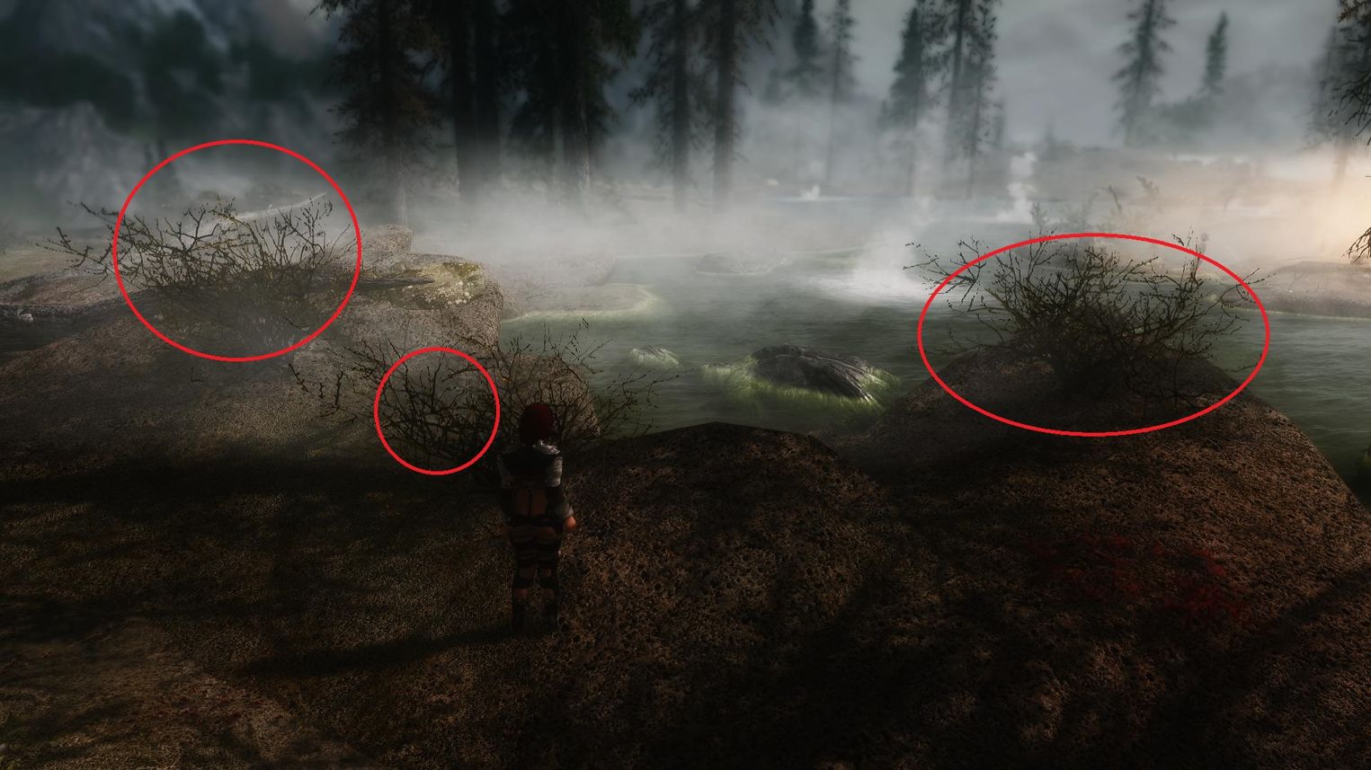 【情報】Insignificant Object Remover 異物移除 @上古卷軸 系列(The Elder Scrolls) 哈啦板 ...