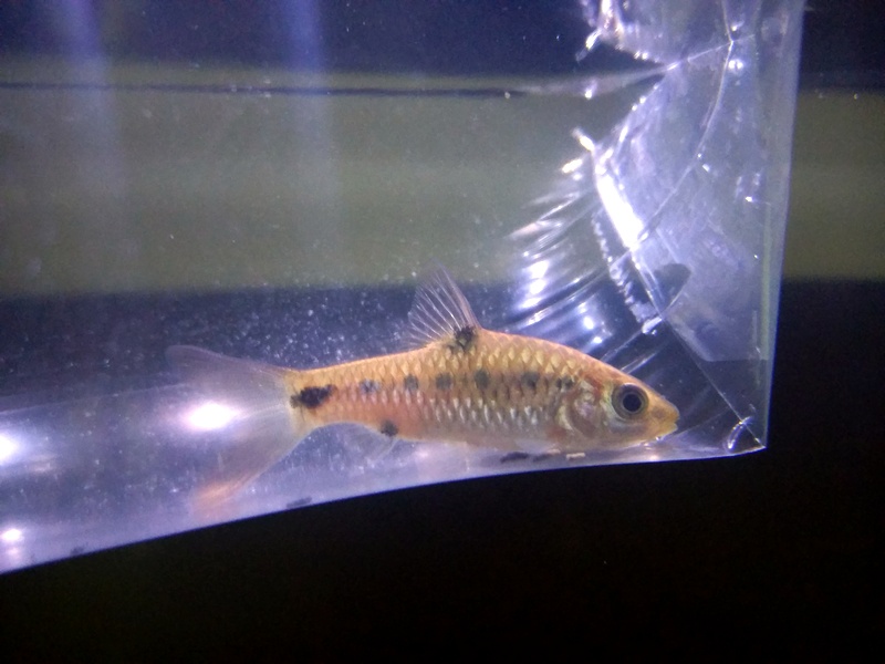 May - 2017 - a564276的創作 - 巴哈姆特