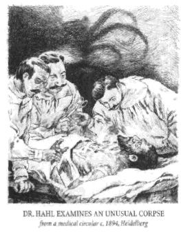 獨立種族（下級） - kenemily9的創作 - 巴哈姆特