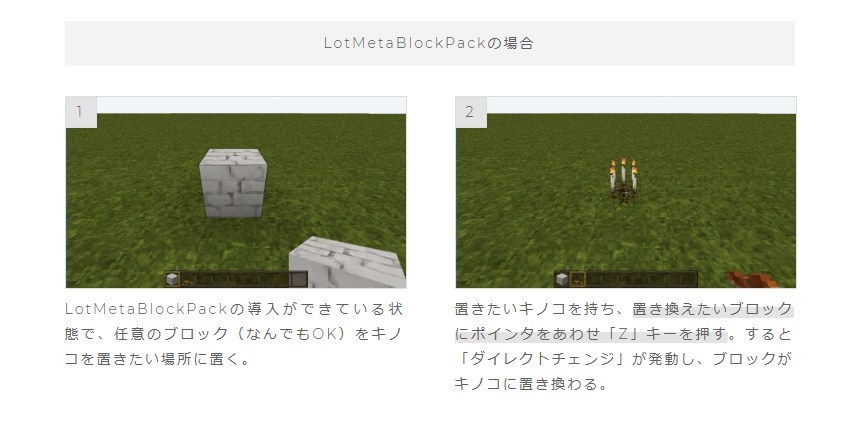 【問題】請問LotMetaBlockPack這個輔助模組到底該如何使用? @Minecraft 我的世界（當個創世神） 哈啦板 - 巴哈姆特