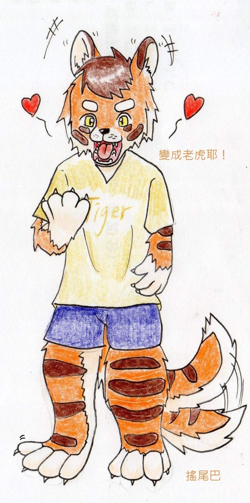 transfur to a tiger - conisslove12的創作 - 巴哈姆特