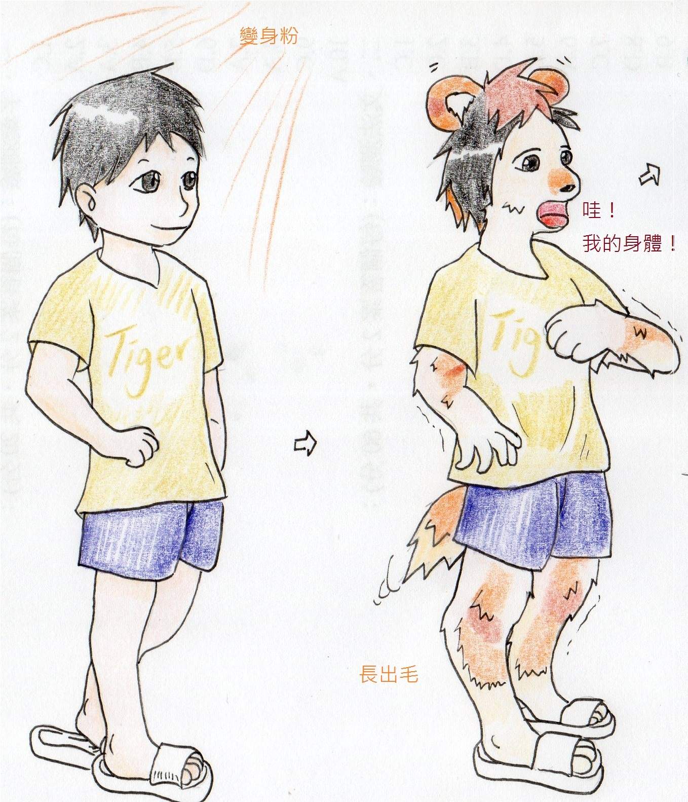 transfur to a tiger - conisslove12的創作 - 巴哈姆特