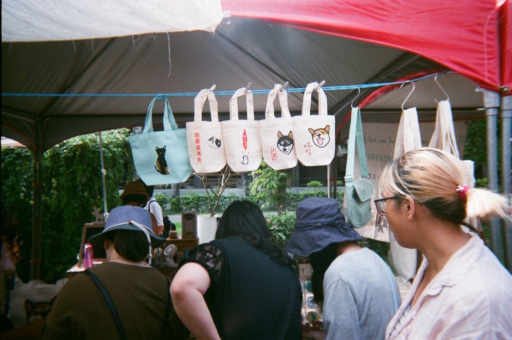 子綠的SimpleUse即可拍小教室！ - fishhead8588的創作 - 巴哈姆特