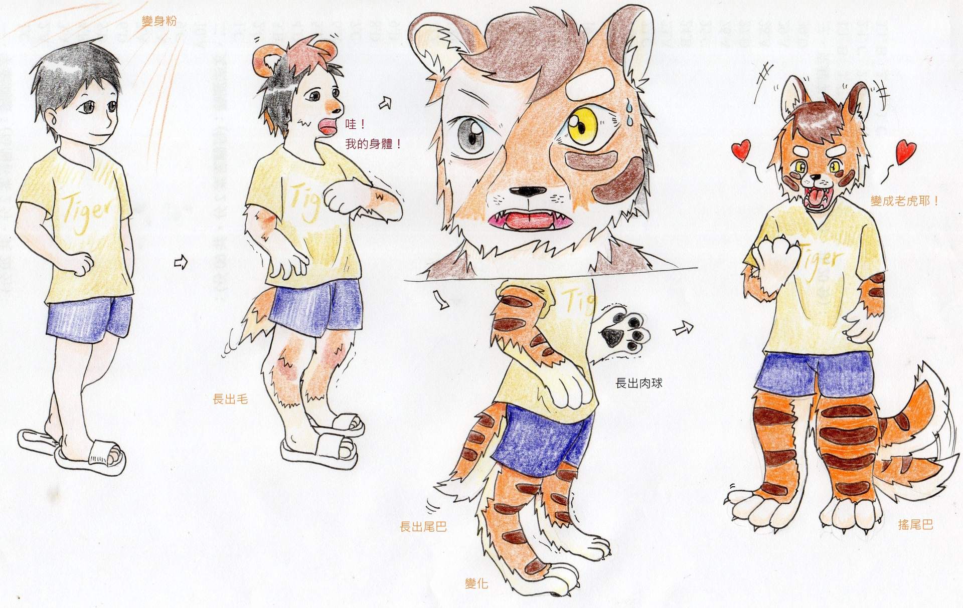 transfur to a tiger - conisslove12的創作 - 巴哈姆特