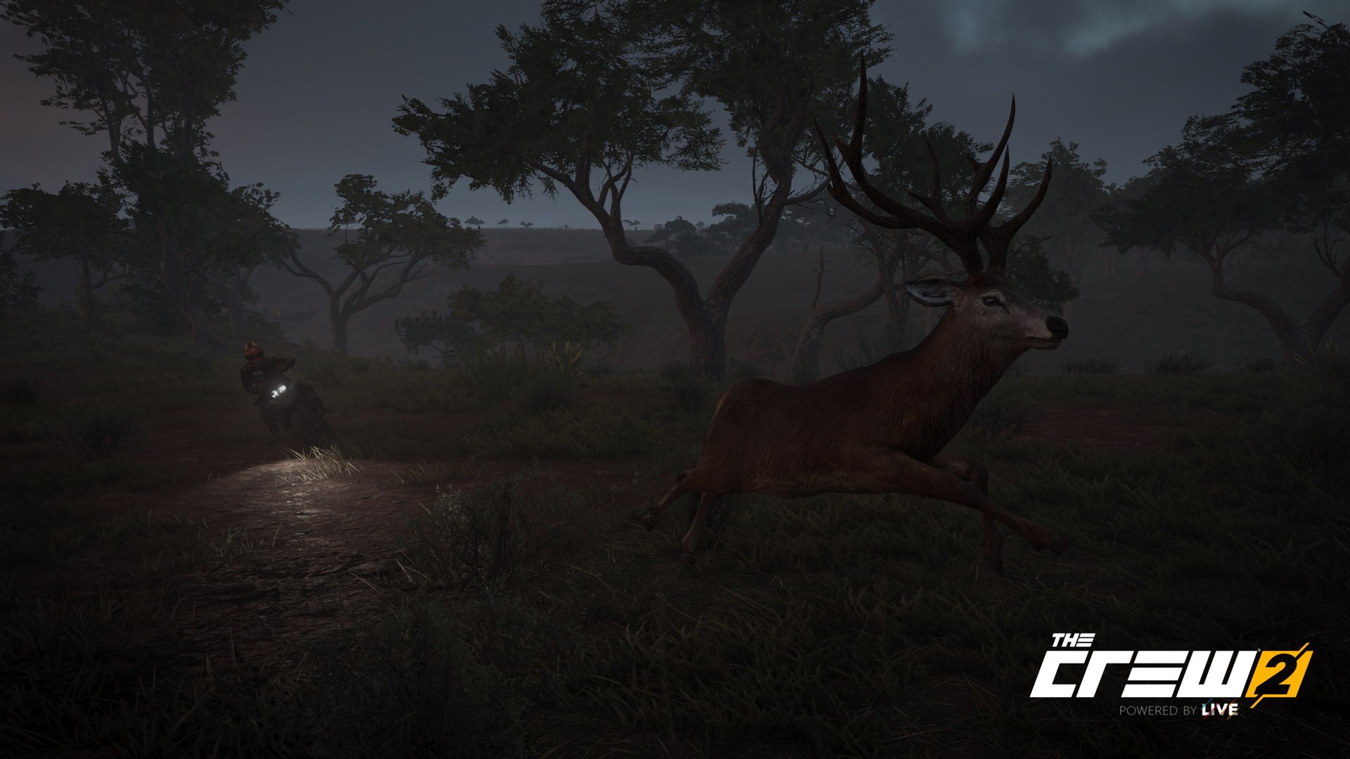 RE:【討論】TheCrew2照片樓～各位發車嘍！ @The Crew 哈啦板 - 巴哈姆特