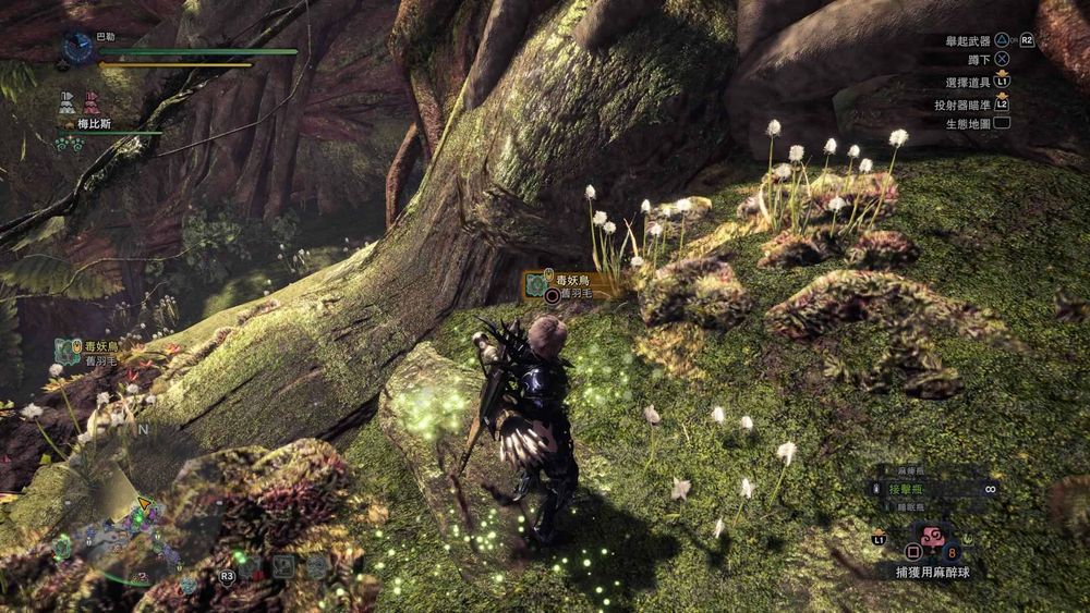 【情報】MHWIB 全地圖寶物位置 (圖多) @魔物獵人 系列 哈啦板 - 巴哈姆特