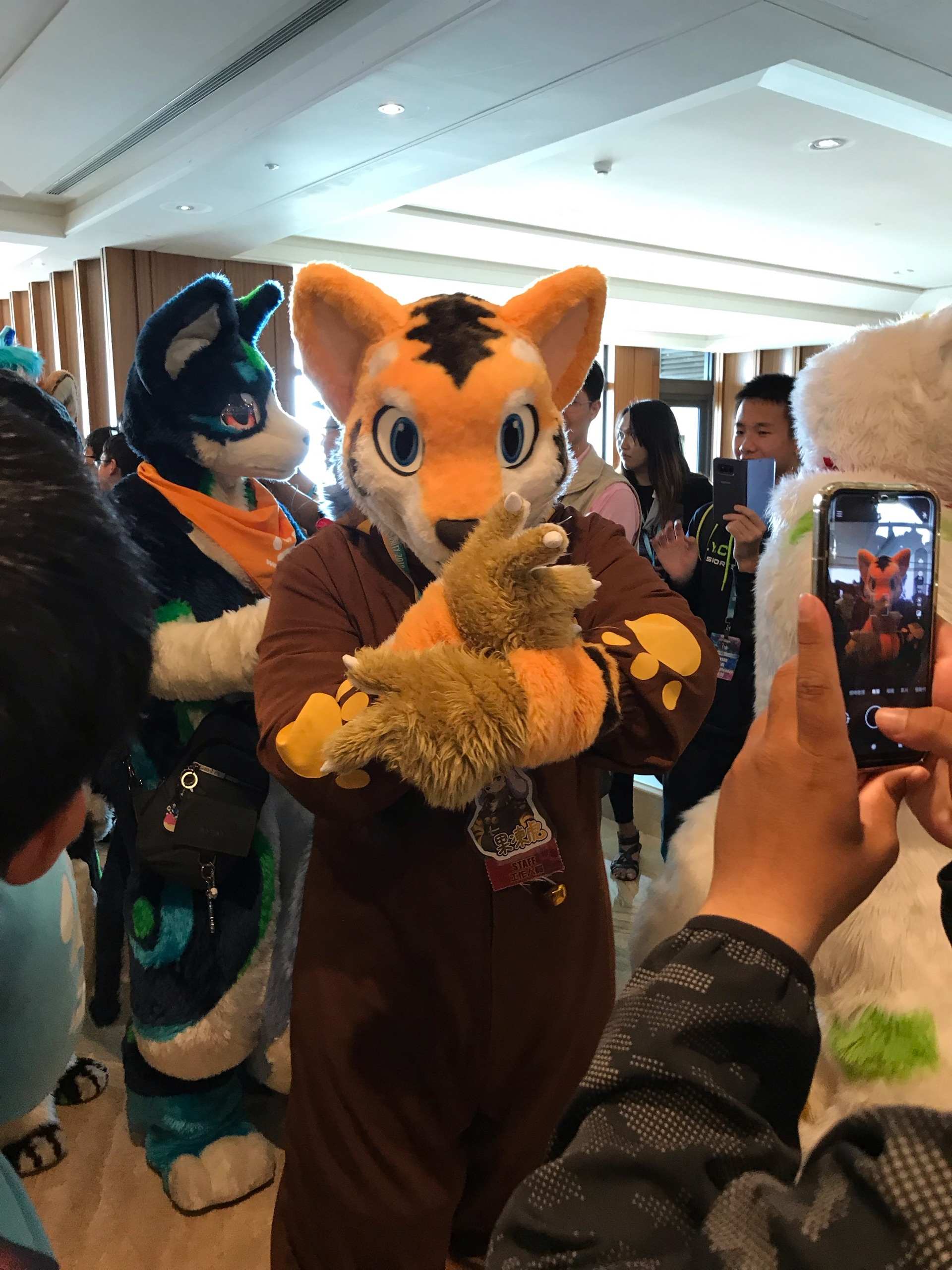 【心得】Infurnity 2019 第五屆獸無限台灣獸聚 - binfang1115的創作 - 巴哈姆特