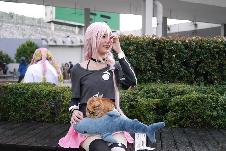 FF35會場Cosplay 募集 - ss2831365的創作 - 巴哈姆特