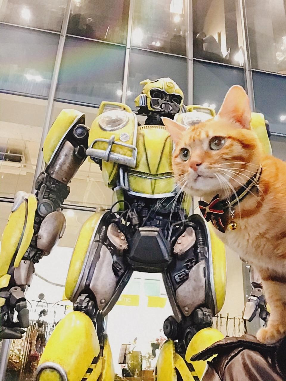 《FF35》尋照區 @Cosplay 電漫角色扮演哈啦板 哈啦板 - 巴哈姆特