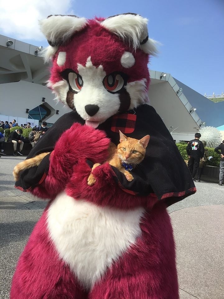 FF35會場Cosplay 募集 - ss2831365的創作 - 巴哈姆特