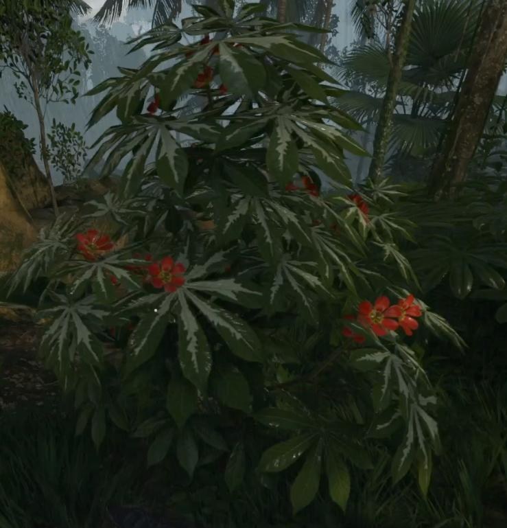 《Green Hell 綠色地獄》 - 基本生存攻略 - house729的創作 - 巴哈姆特