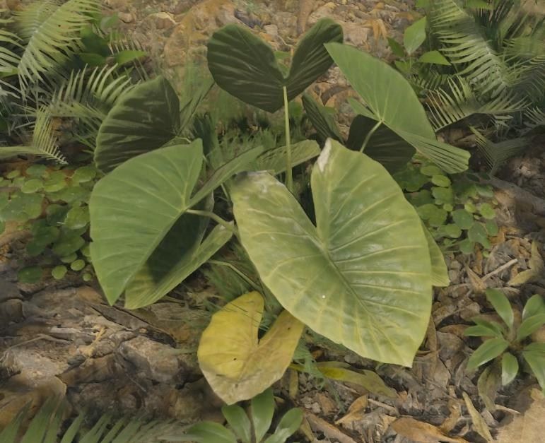 【心得】Green Hell基本生存攻略 @綠色地獄 哈啦板 - 巴哈姆特