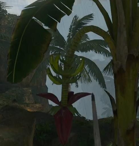 【心得】Green Hell基本生存攻略 @綠色地獄 哈啦板 - 巴哈姆特