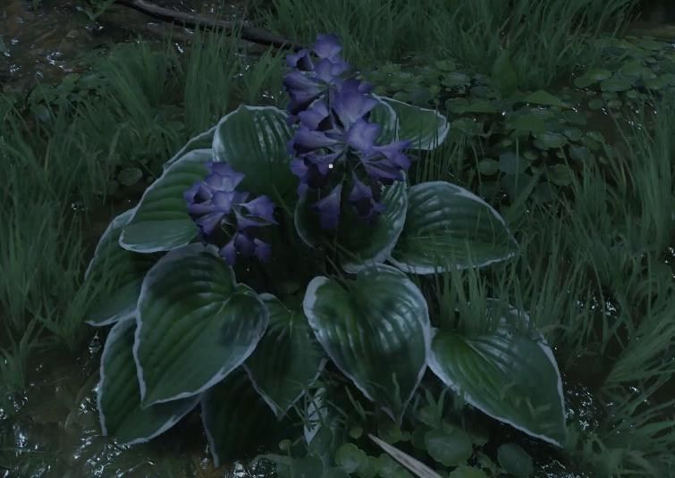 【心得】Green Hell基本生存攻略 @綠色地獄 哈啦板 - 巴哈姆特