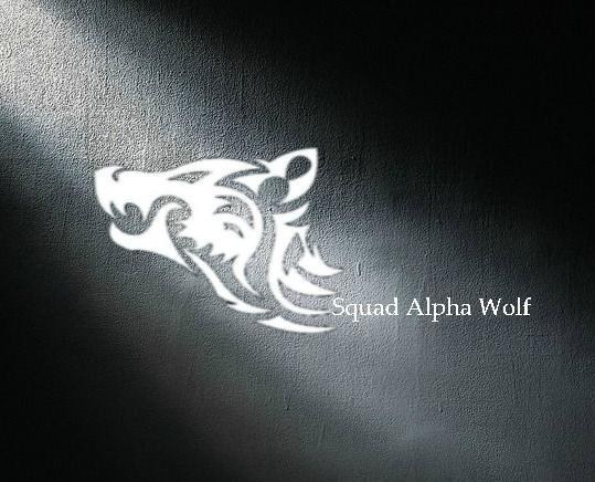 【其他】Squad Alpha Wolf Esports Club隊員徵收中 @戰慄時空之絕對武力( CS ) 哈啦板 - 巴哈姆特
