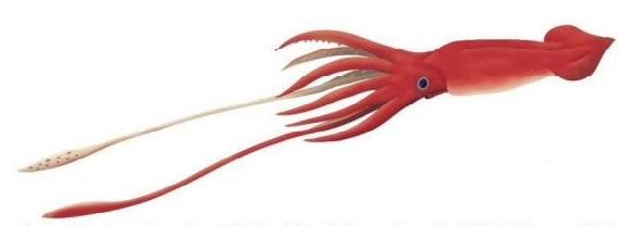 番外-Fate從者/角色與古生物(後有劇透請慎入) - j50304的創作 - 巴哈姆特