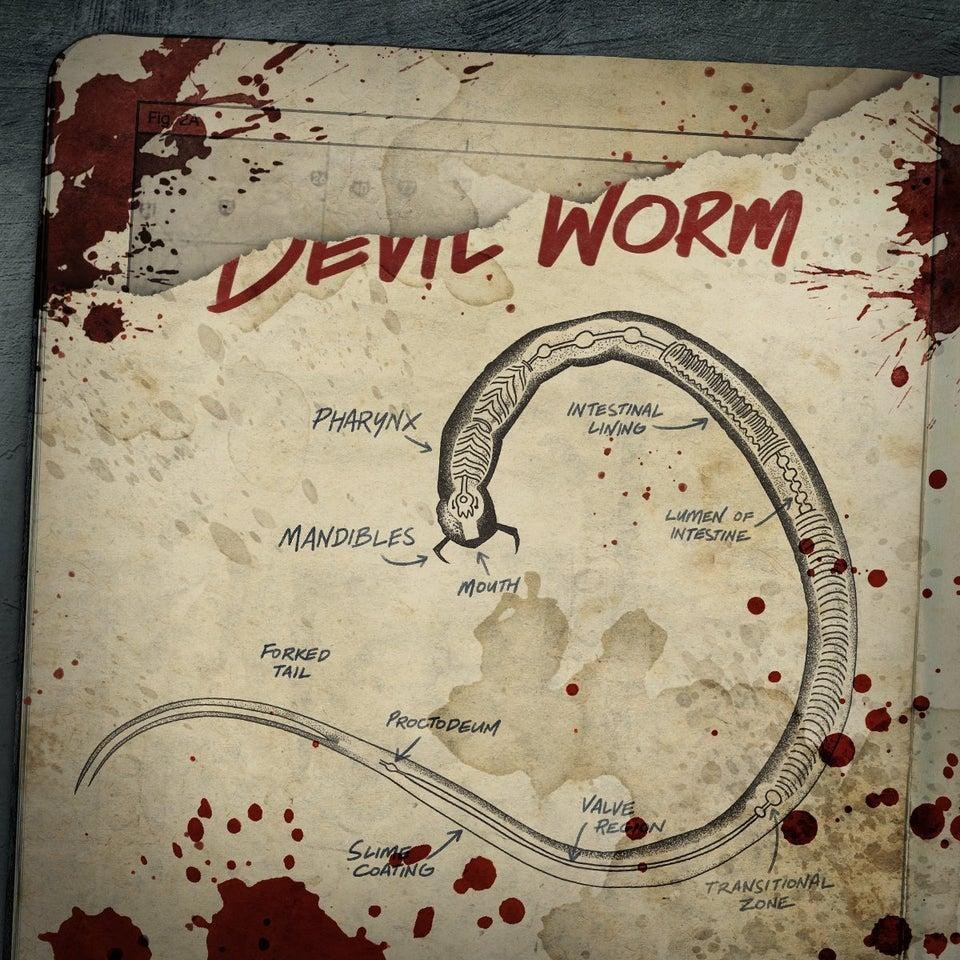 【情報】官方釋出Devil Worm的解析圖 @喋血復仇（Back 4 Blood） 哈啦板 - 巴哈姆特