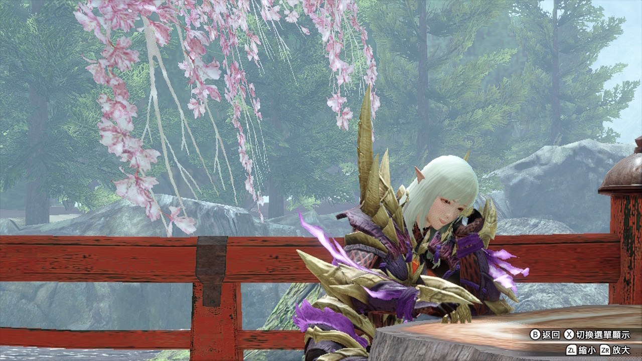 Re 【討論】【mh Rise】捏臉分享集中串 魔物獵人 系列 哈啦板 巴哈姆特