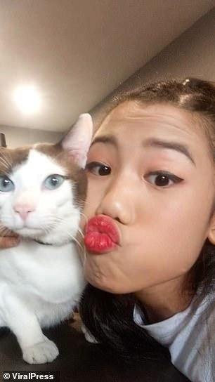 愛貓不見了！3.6公尺長巨蟒躺流理台 女童見這一幕秒懂崩潰 - tortoisetttt的創作 - 巴哈姆特