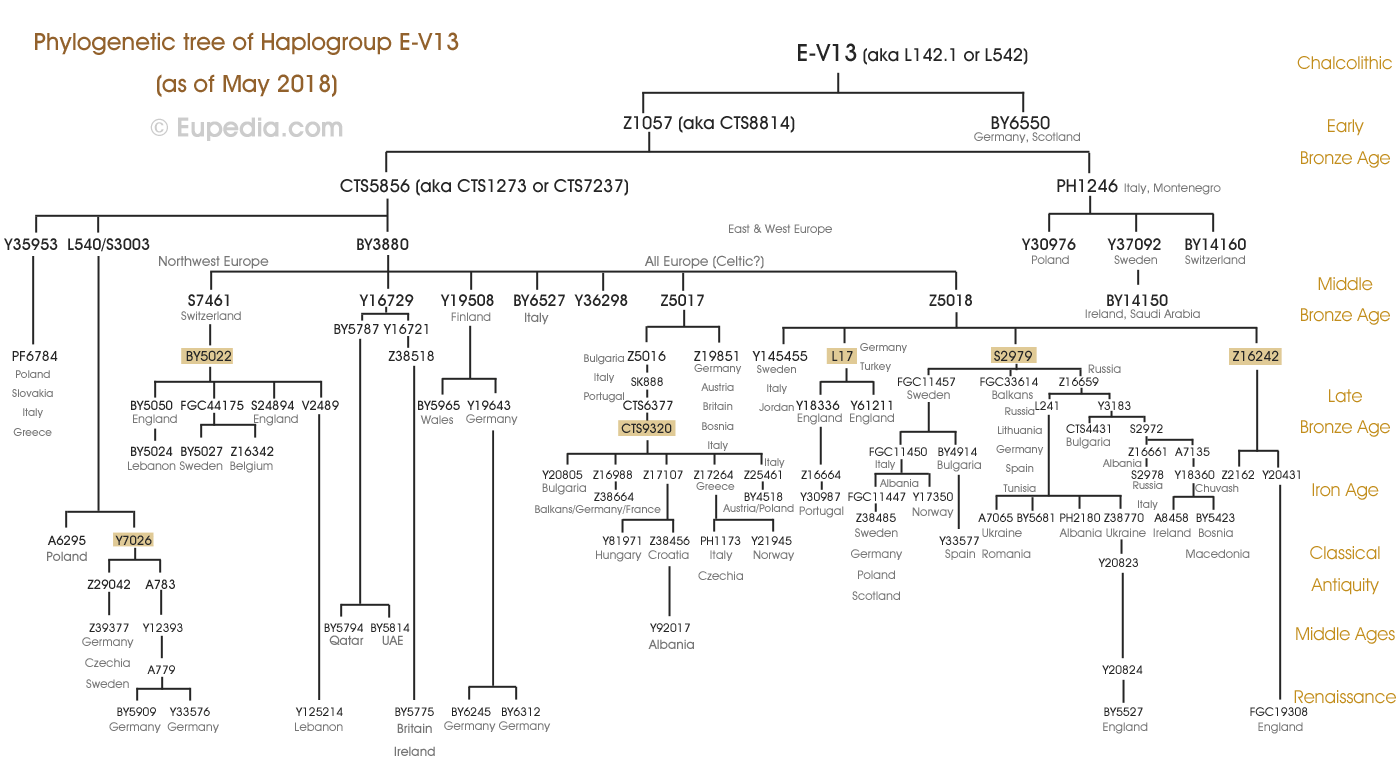 單倍群E1b1b英翻中(搬運自https://www.eupedia.com/europe/Haplogroup_E1b1b_Y-DNA ...