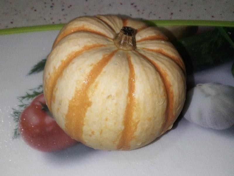 核桃與南瓜 - gsn964210的創作 - 巴哈姆特