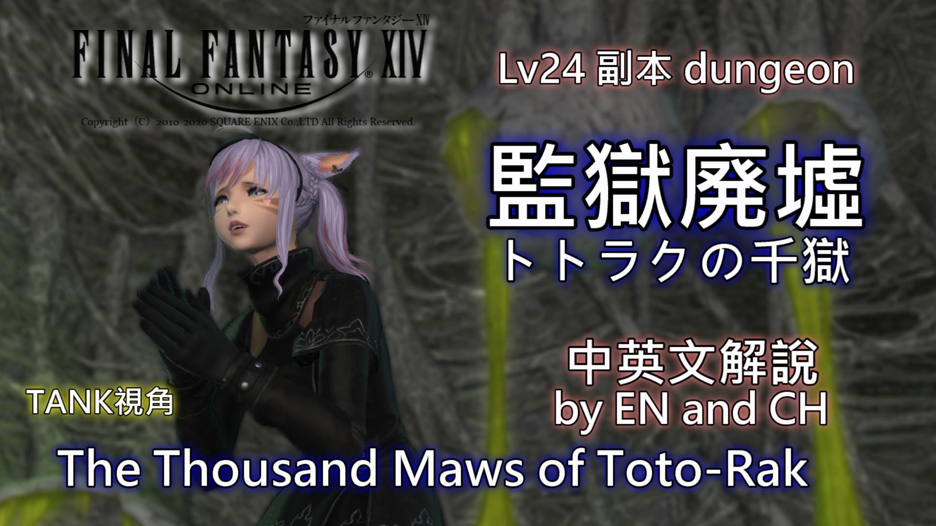 【攻略】【新手向】Lv15天然要害侵食洞-Lv47霧中行軍 副本解說影片 中文解說英文字幕 @Final Fantasy XIV 哈啦板 - 巴哈姆特