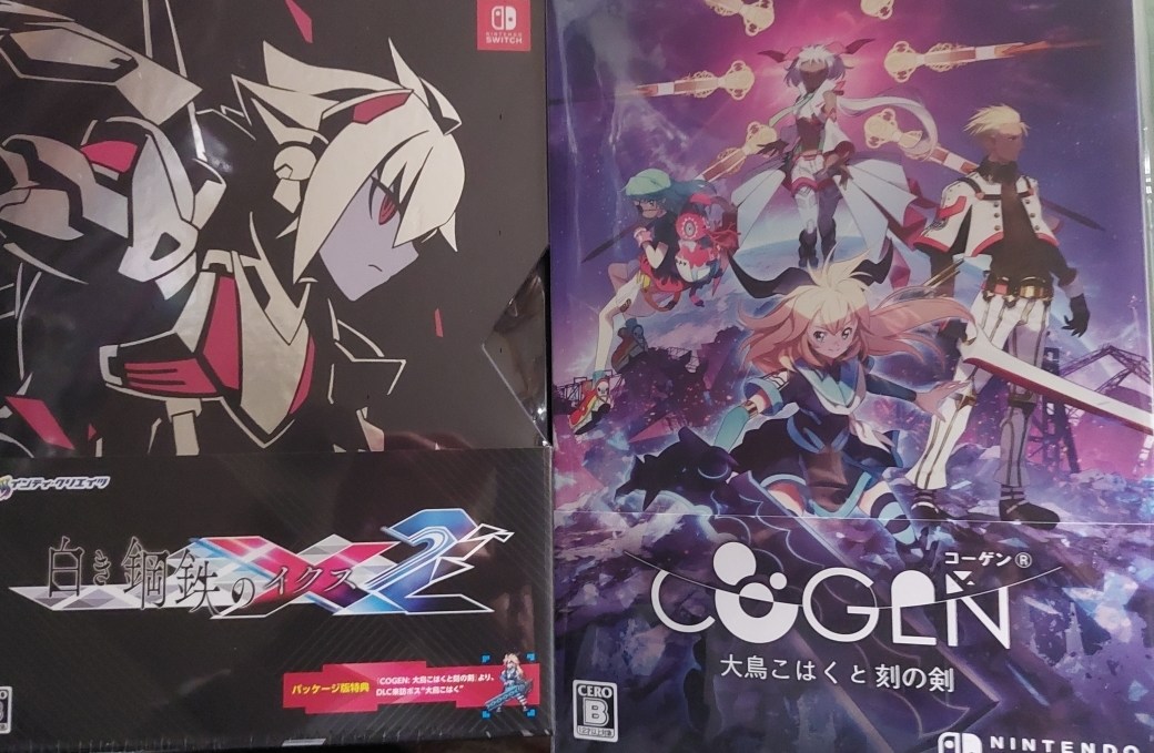 【閒聊】COGEN實在太難了有點破不下去...（有捏） @NS / Nintendo Switch 哈啦板 - 巴哈姆特