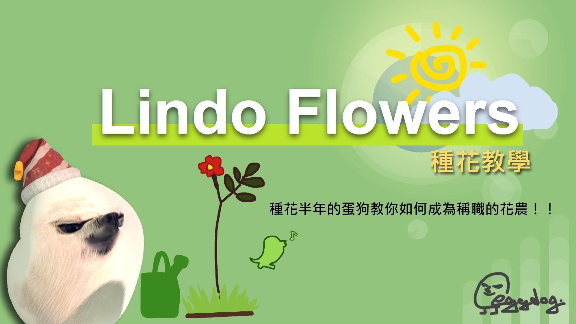 【密技】賺錢小遊戲 - Lindo Flowers(๑′ܫ`)b @第二人生（Second Life） 哈啦板 - 巴哈姆特
