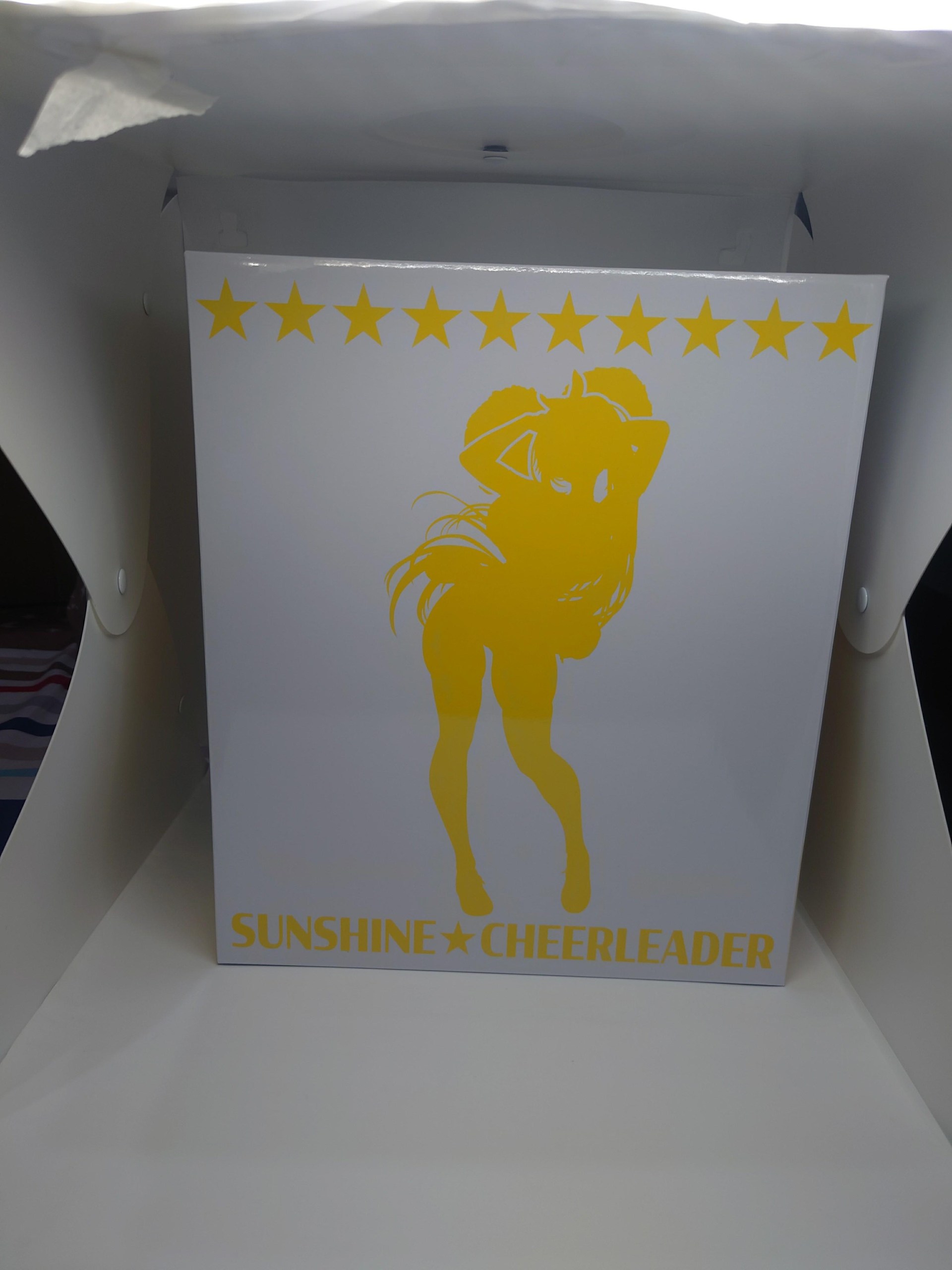 【心得】代理版 Native限定 Rocket Boy 陽光啦啦隊隊長 魔太郎 1/6 @綜合公仔玩具討論區 哈啦板 - 巴哈姆特