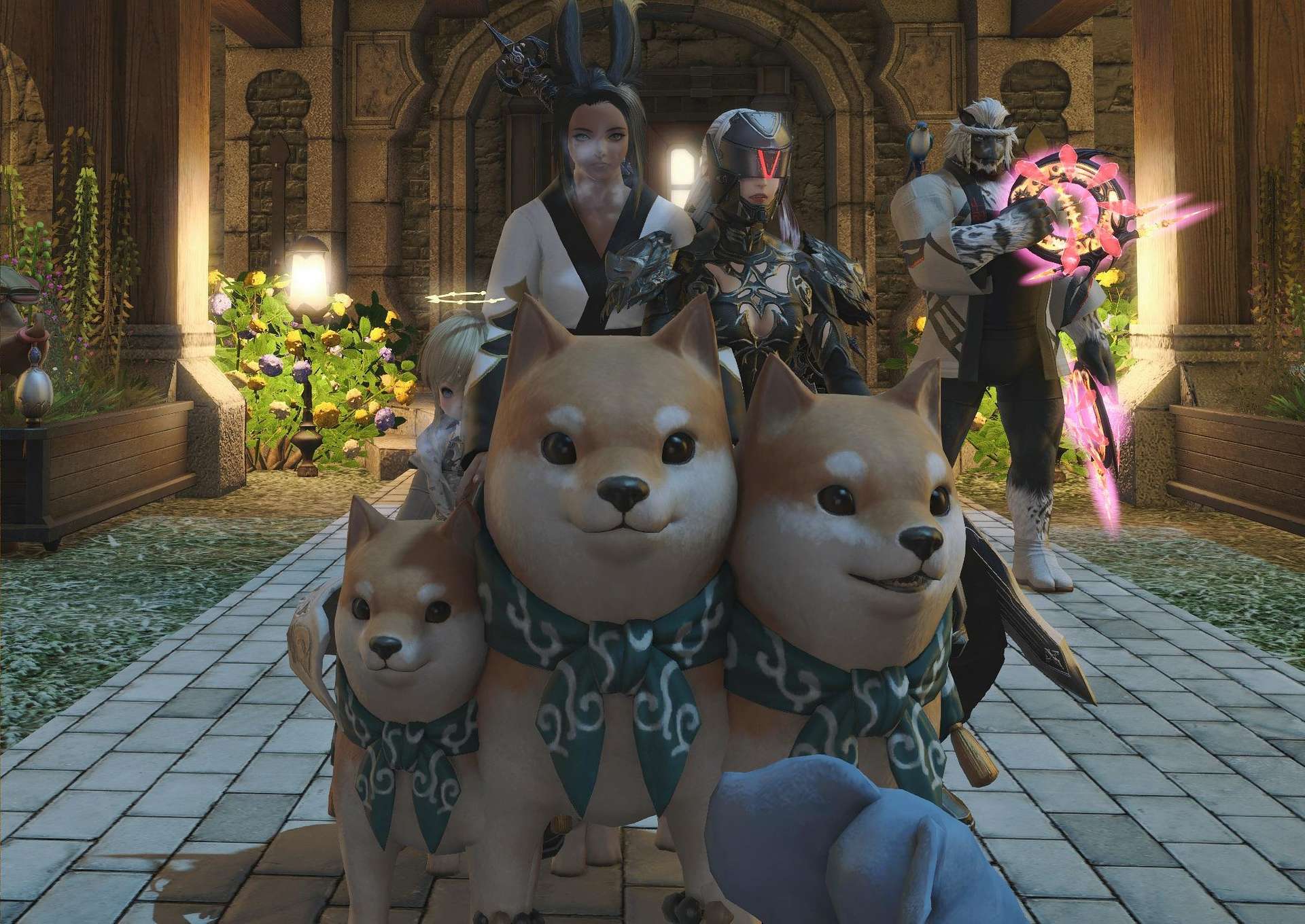 【心得】所有人都應該買一隻狗勾 @Final Fantasy XIV 哈啦板 - 巴哈姆特