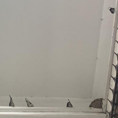 [閒聊]形單影隻(圖) - lcoffee的創作 - 巴哈姆特