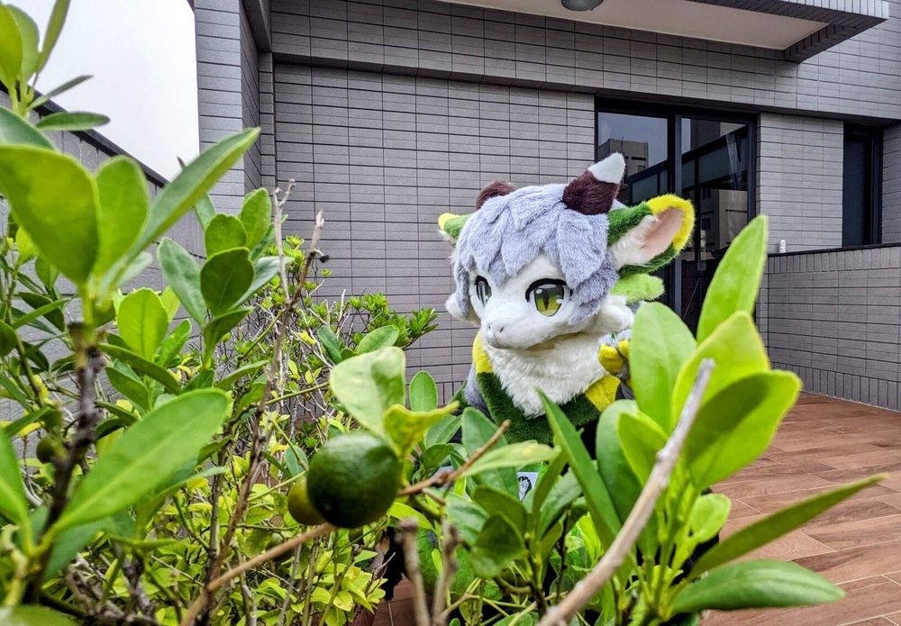 Home sweet home UWU - petadodu331的創作 - 巴哈姆特