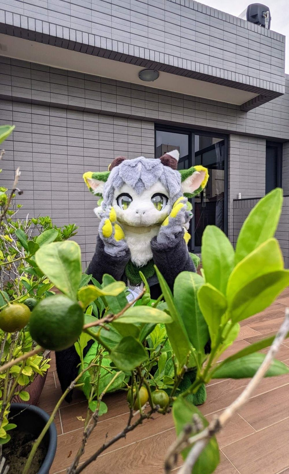 Home sweet home UWU - petadodu331的創作 - 巴哈姆特