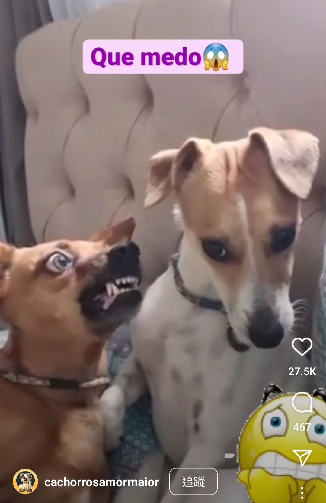 【心得】幹 在ig上看到性感辣媽讓我直接ㄅㄑ然後手刀追蹤 @場外休憩區 哈啦板 - 巴哈姆特