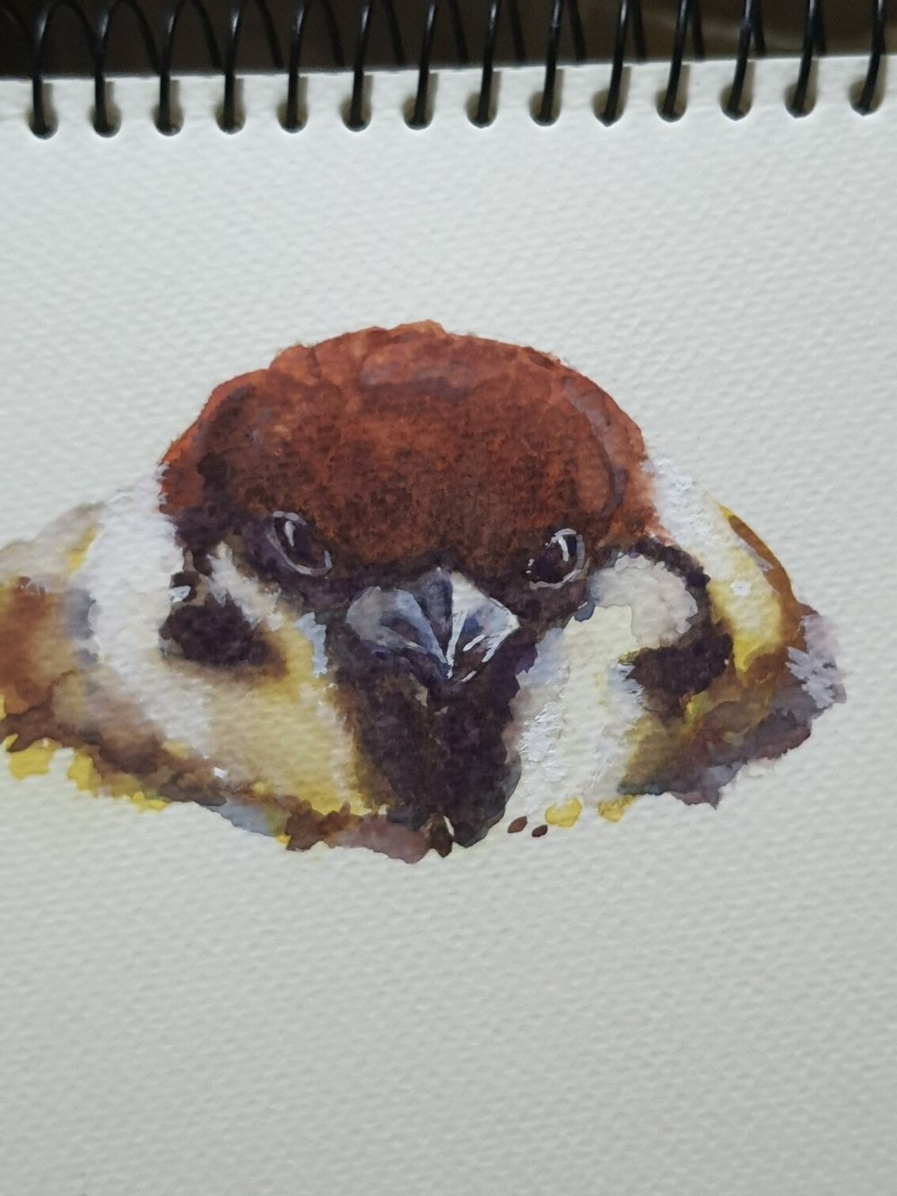 水彩 - b34442755的創作 - 巴哈姆特