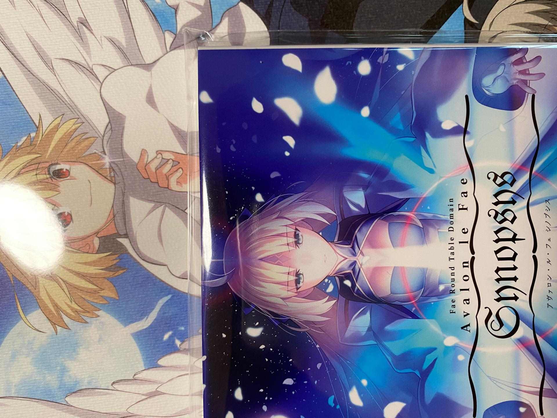 型月稿本 Avalon le Fae Synopsys 2冊 竹箒/樂淘開箱 - rinne303的創作 - 巴哈姆特