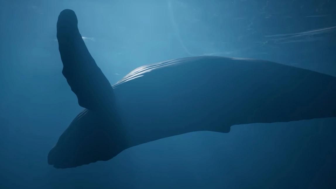 【情報】日本學生開發UE5遊戲《Whale Fall》公開首部預告片，來一趟壯大的神秘海洋之旅 @Steam 綜合討論板 哈啦板 - 巴哈姆特