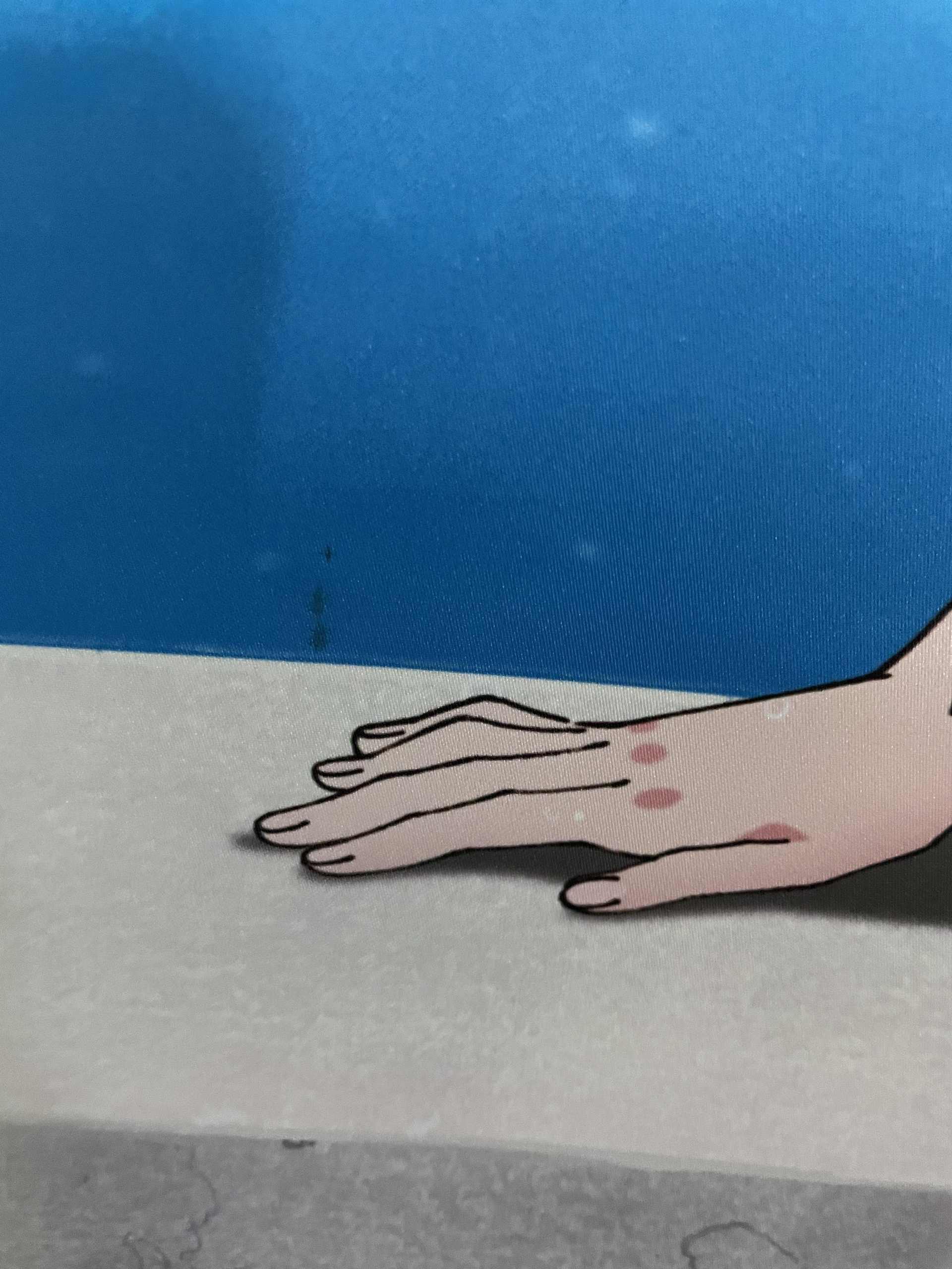 【其他】賣掛軸 果清 狼辛 亞絲娜 在原七海 Hiten towa @ACG二手交易板 哈啦板 - 巴哈姆特