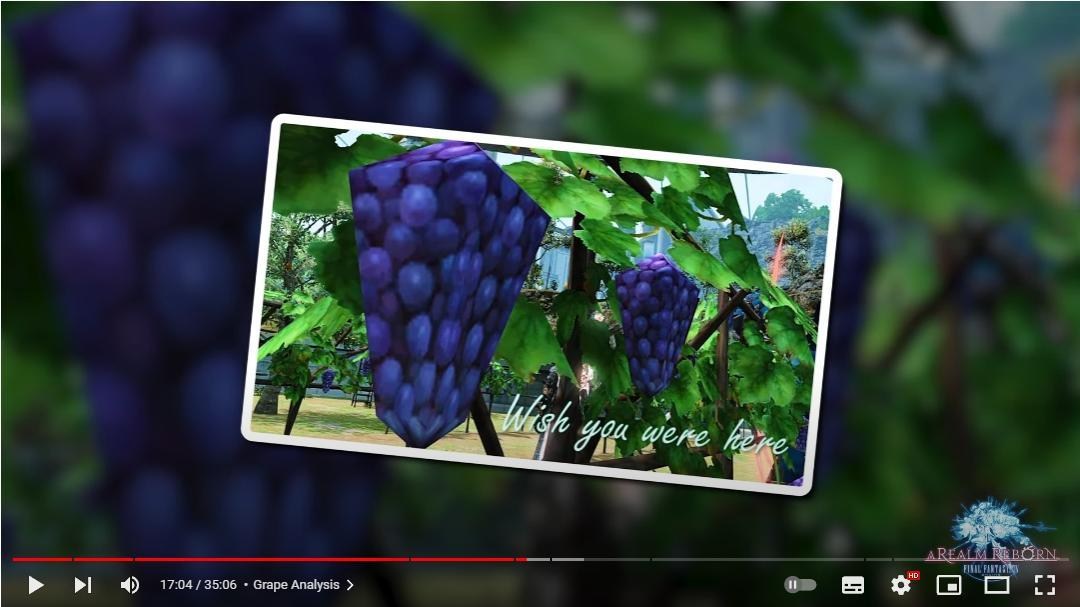 【閒聊】關於葡萄的分析…。 @Final Fantasy XIV 哈啦板 - 巴哈姆特