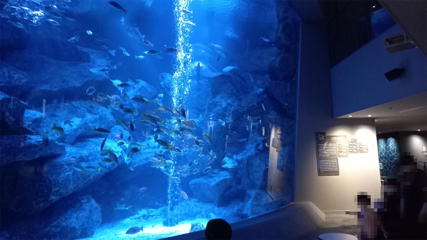 [達人專欄] 第132回 Day 4：晴空塔！墨田水族館！參訪莉可麗絲的聖地！（圖多） - a857142的創作 - 巴哈姆特