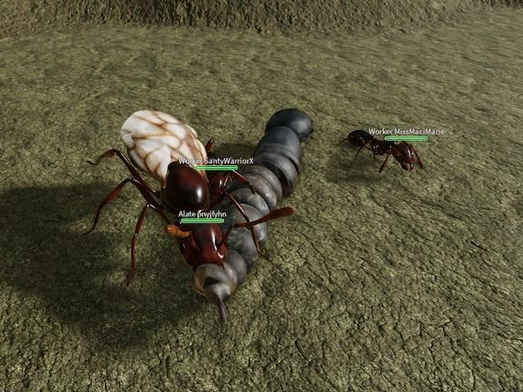 【攻略】 Ant Life v2攻略 @ROBLOX 哈啦板 - 巴哈姆特
